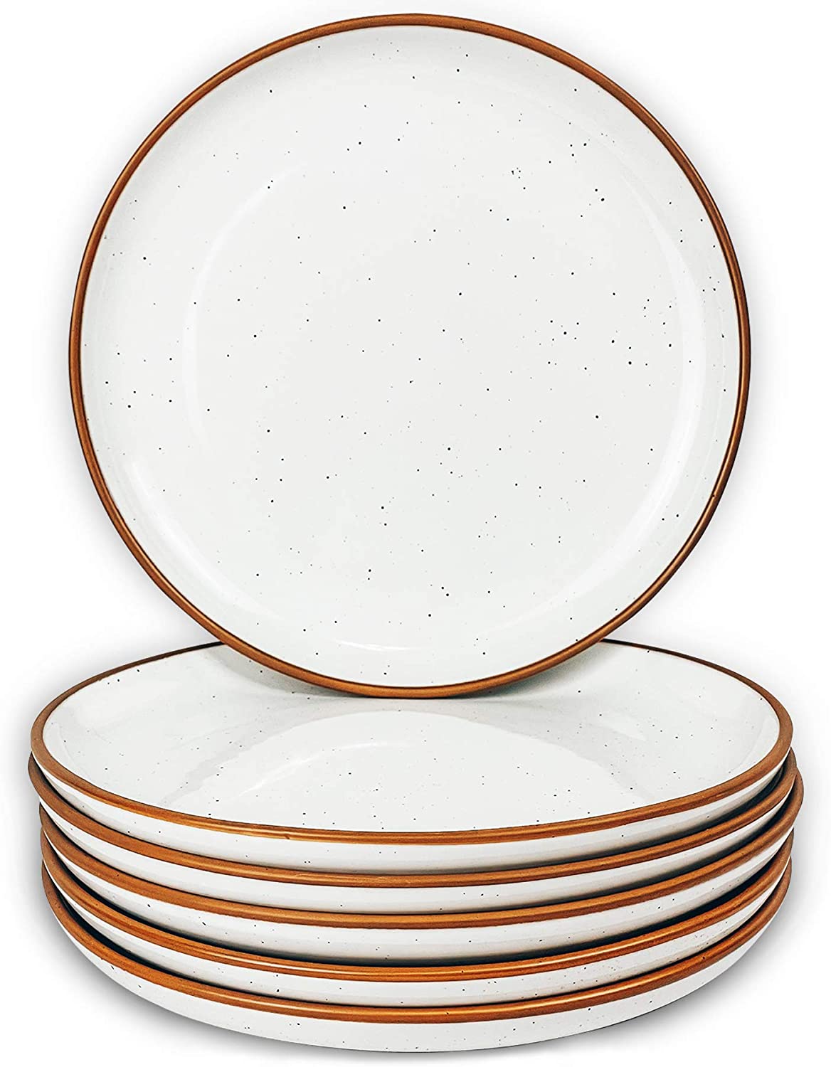 Can You Put Ceramic Plate In The Oven? All Your Questions Answered ...
